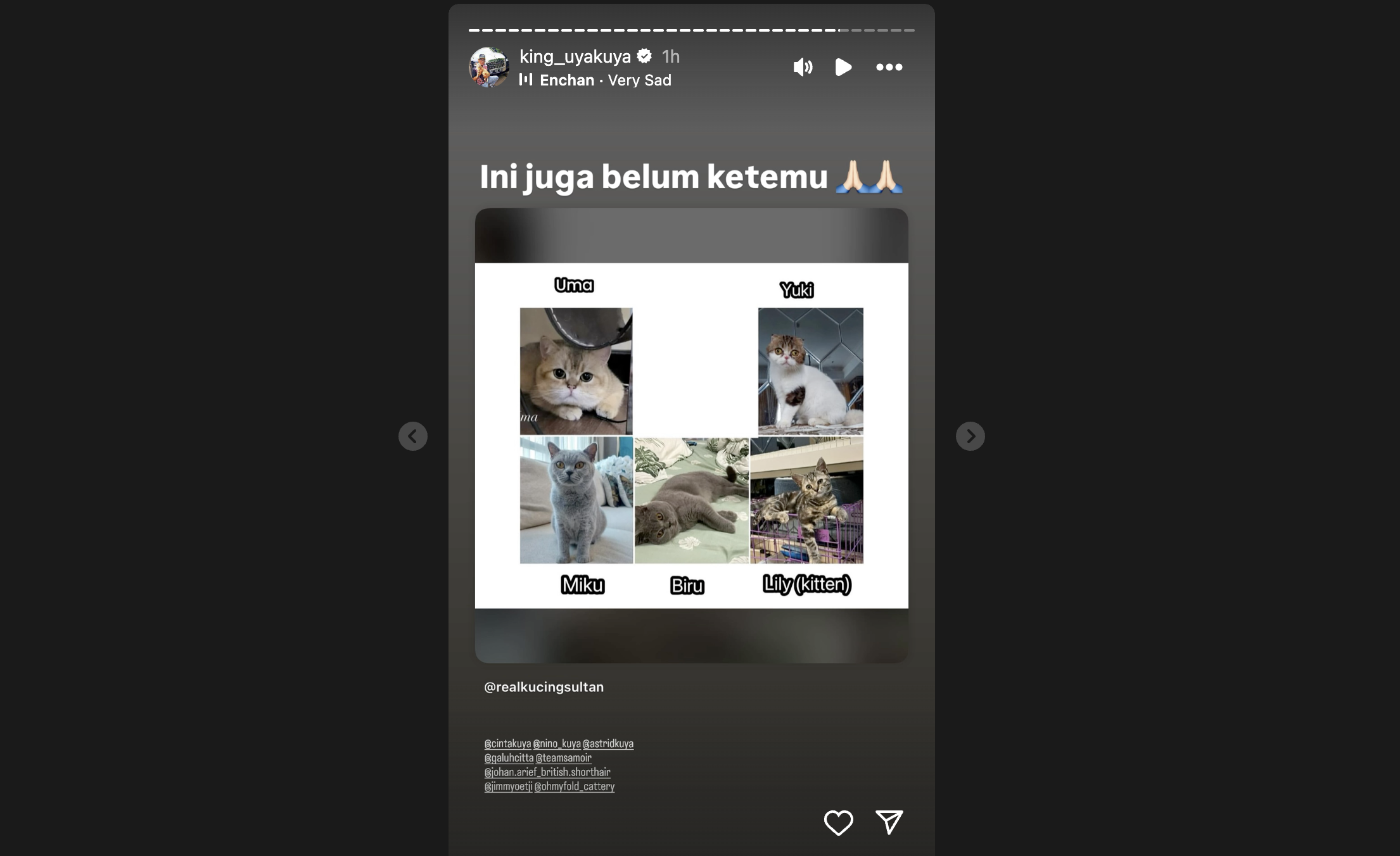 Mellownya Uya Kuya, Kucing Kesayangannya Ini Belum Kembali Usai ...