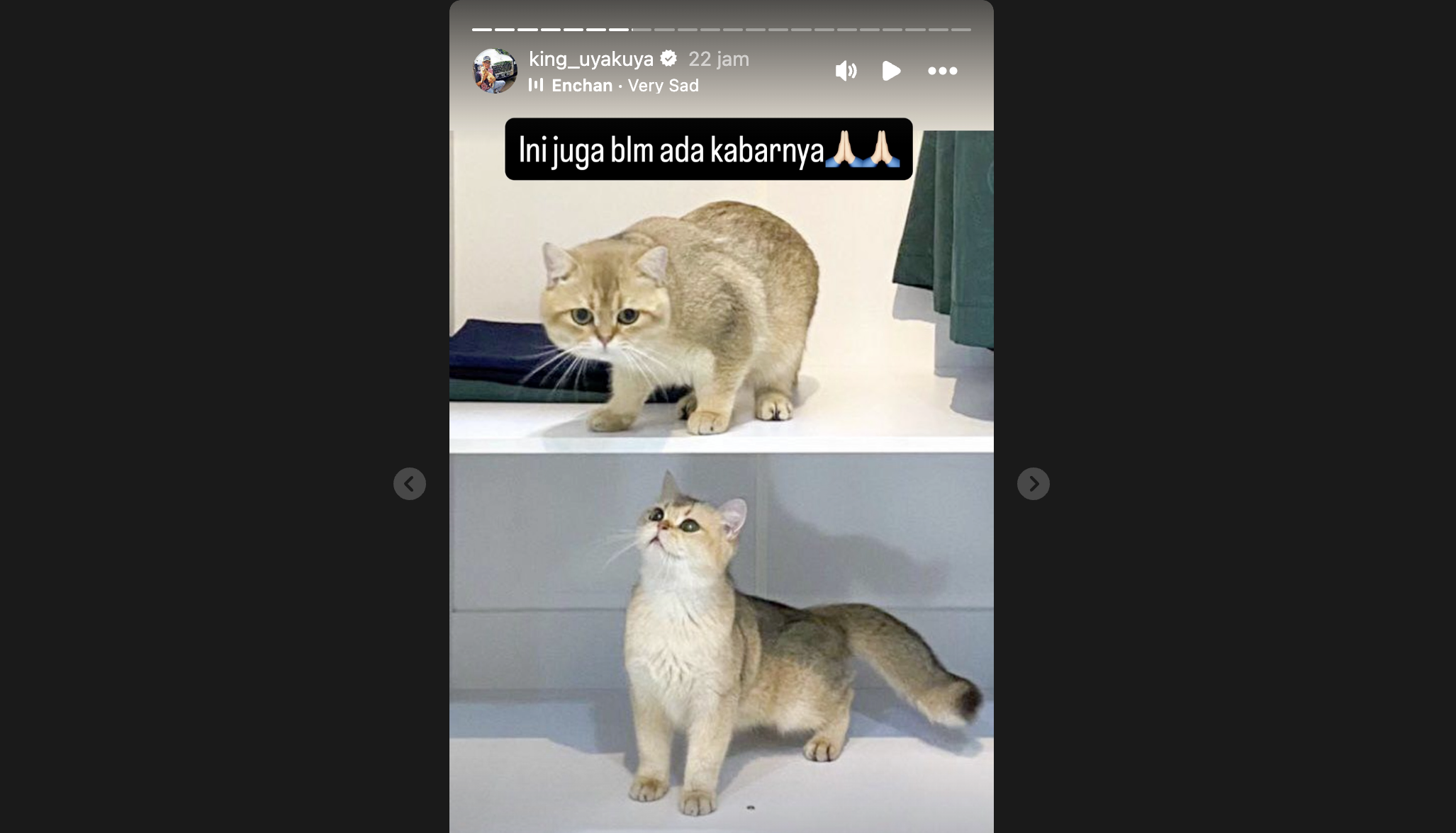Mellownya Uya Kuya, Kucing Kesayangannya Ini Belum Kembali Usai ...